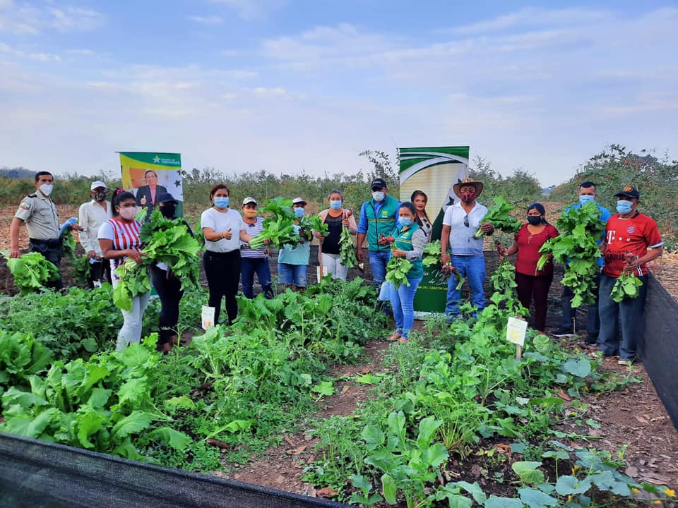 CON ÉXITO SE REALIZAN LOS HUERTOS COMUNITARIOS EN EL ÁREA URBANA Y ...